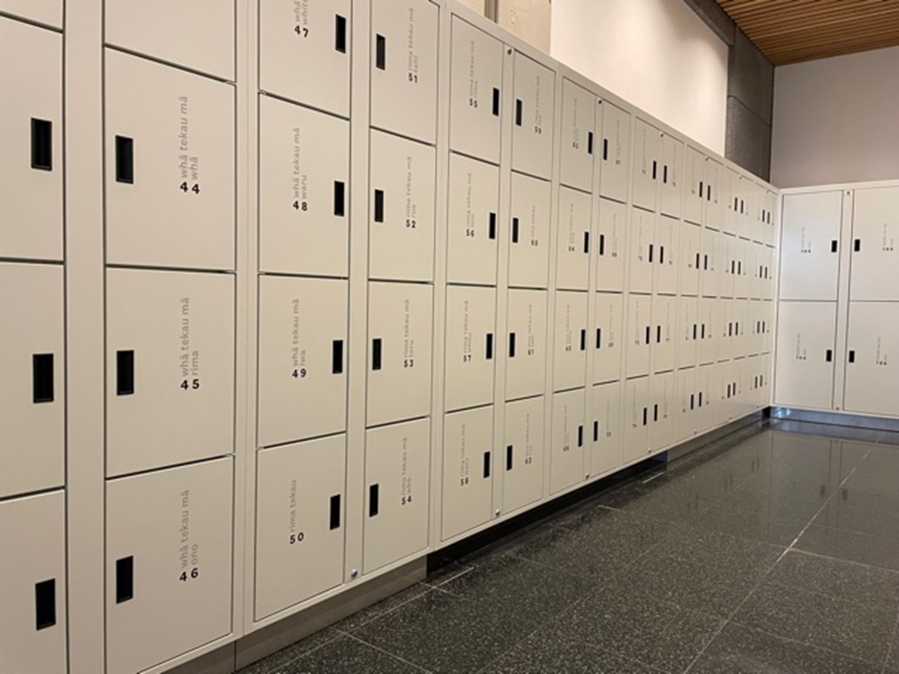 Te Papa Museum Lockers NZ | Elocker